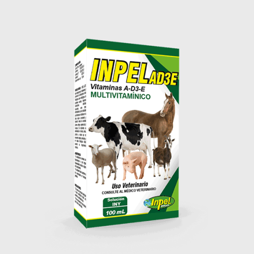 INPEL AD3E – INPEL QUALITY